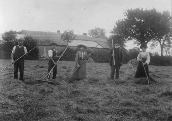 Haymaking Scene at Mackham Farm - Blackdown Archives
