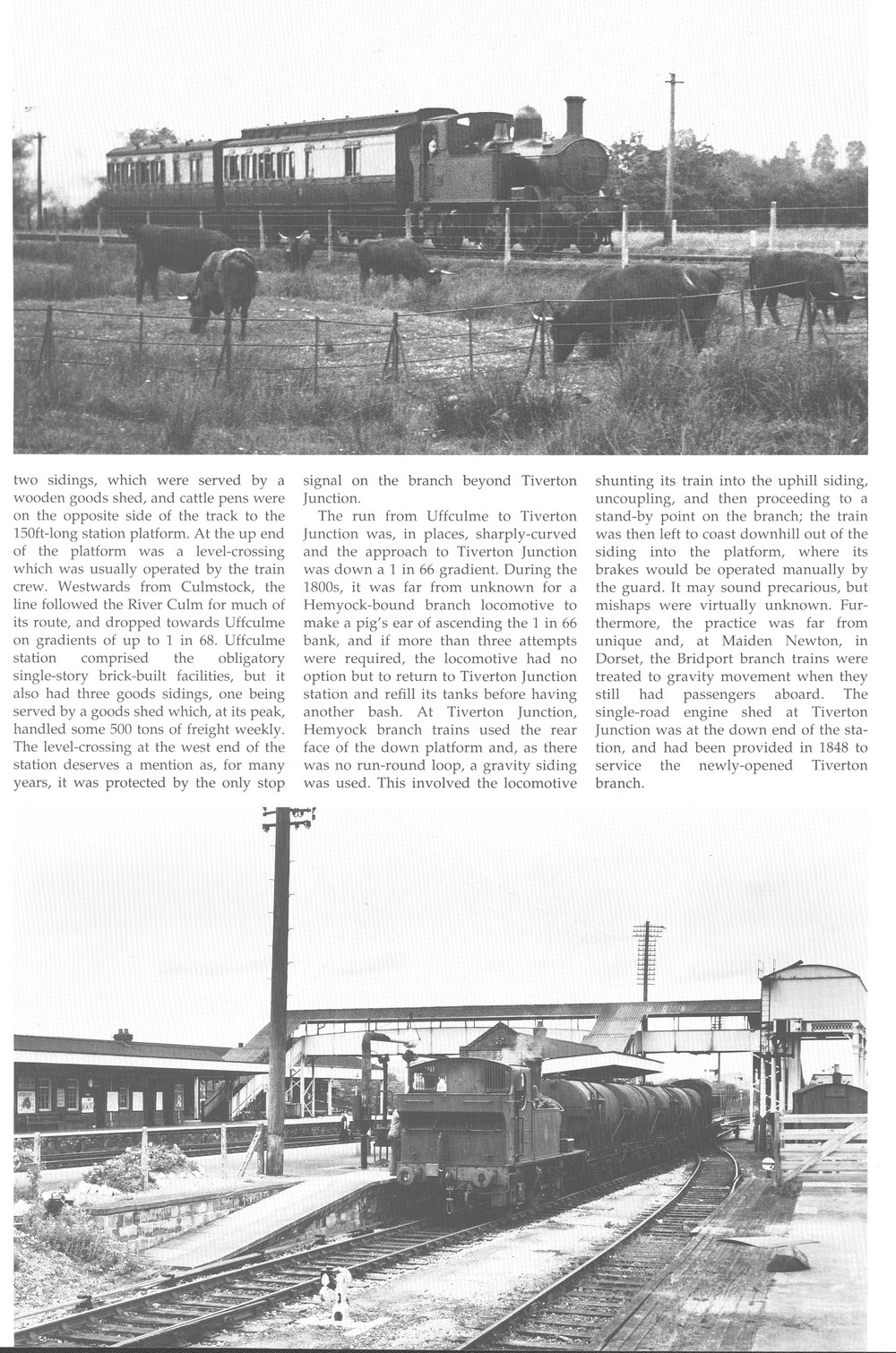 Culm Valley Steam Railway through the ages - Blackdown Archives